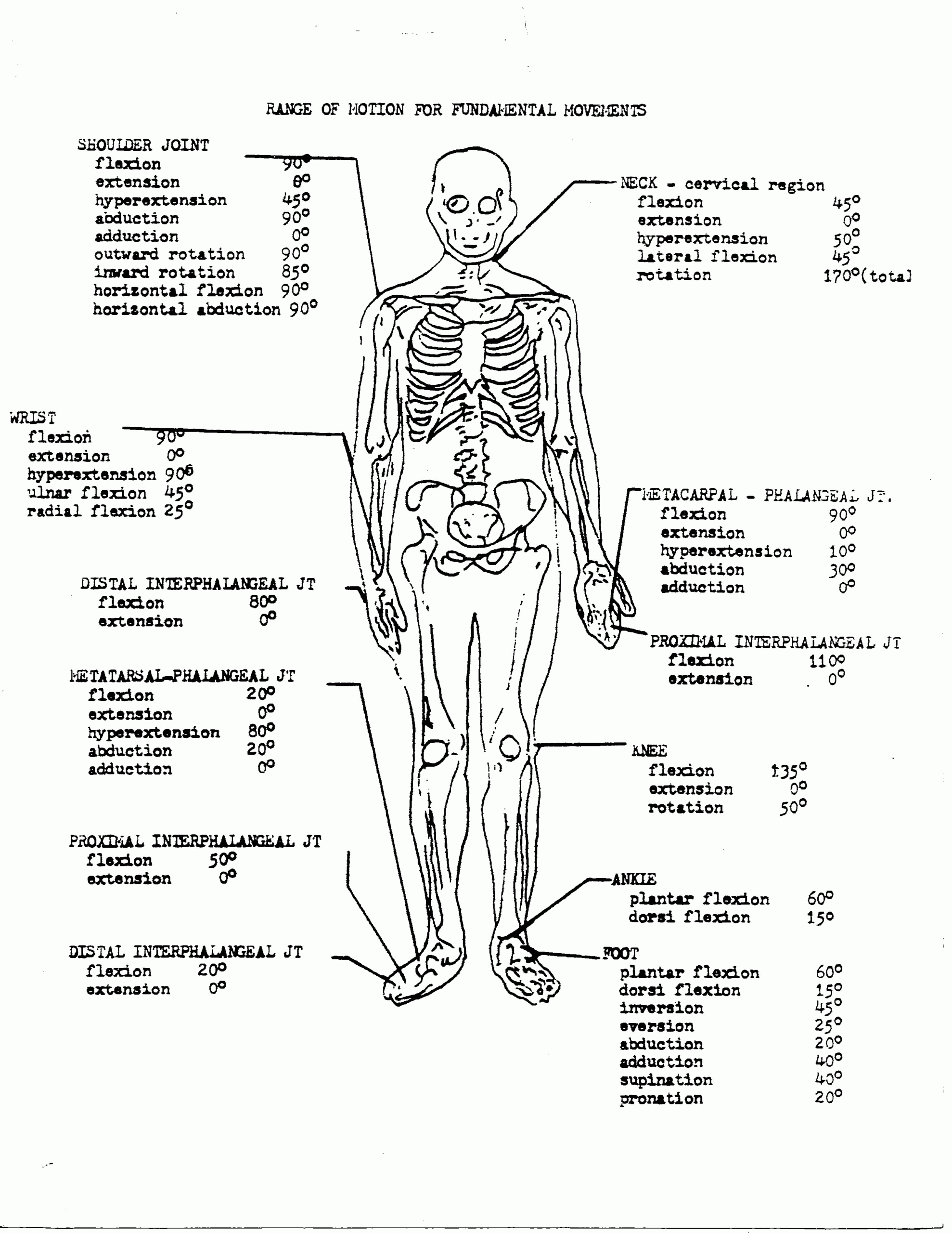 Anatomy And Physiology Workbook Worksheets Printable Ronald Worksheets Anatomy And Physiology Workbook Worksheets Printable Ronald Worksheets